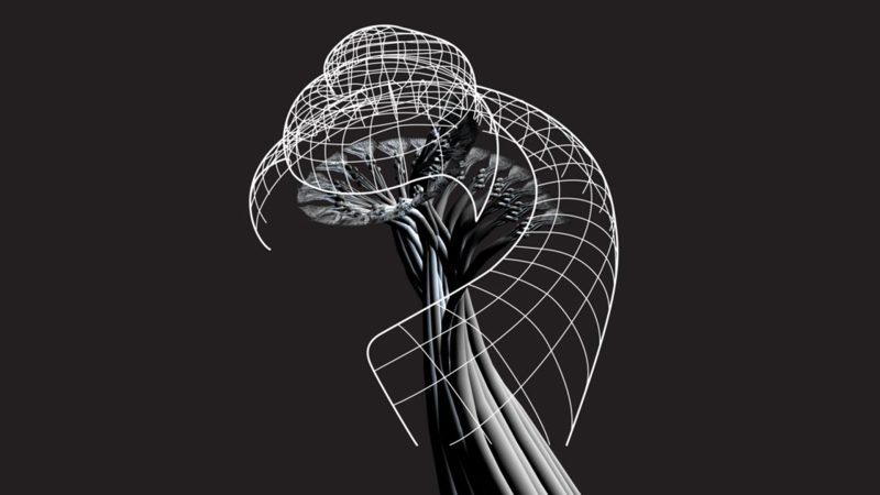 Anatomia da cóclea: o que é e como funciona?